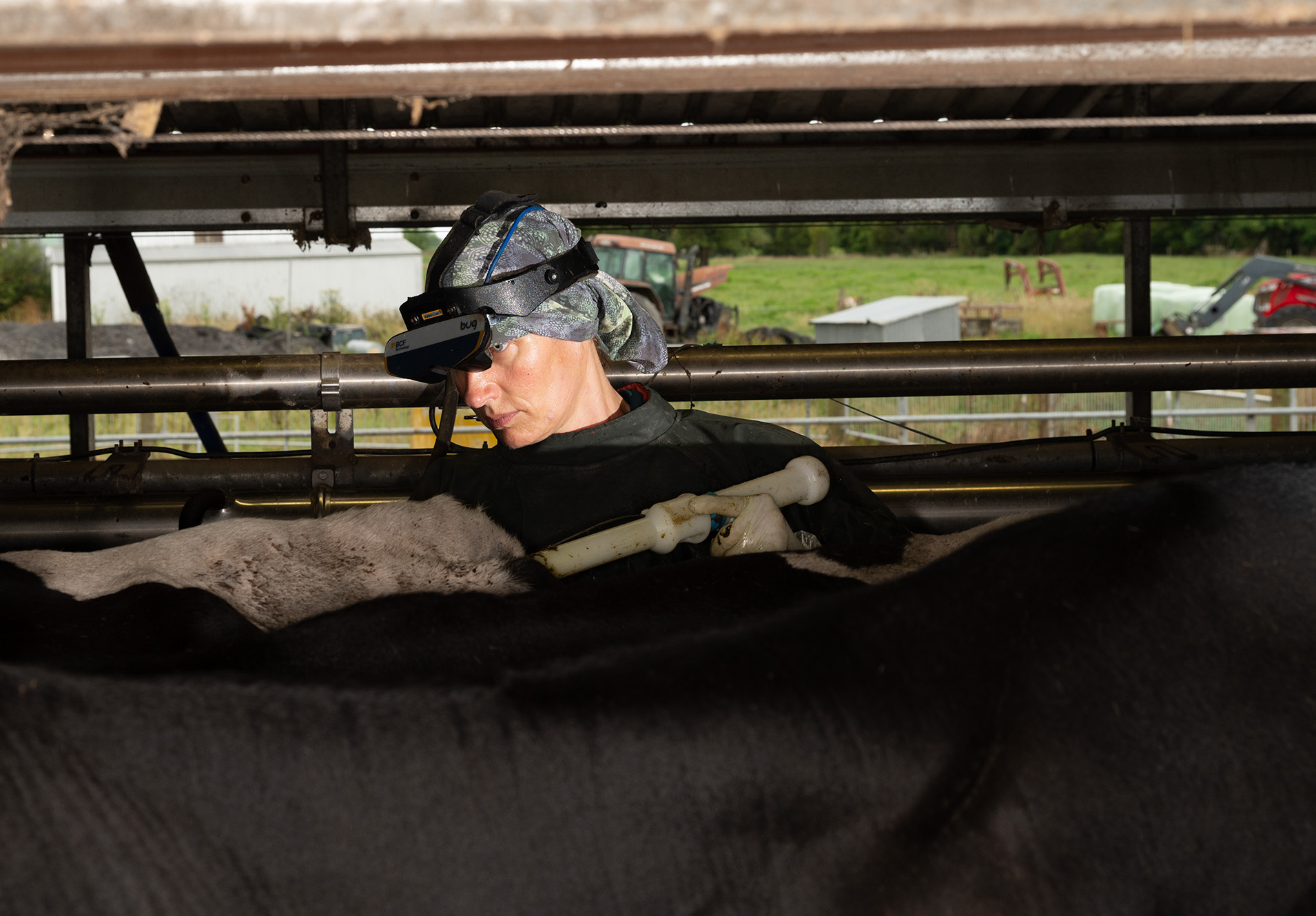 Te Aroha Photography – Documenting the Rural